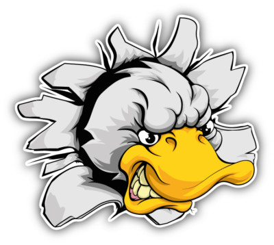 Duck Head Mascot Car Bumper Sticker Decal - ''SIZES'' | eBay