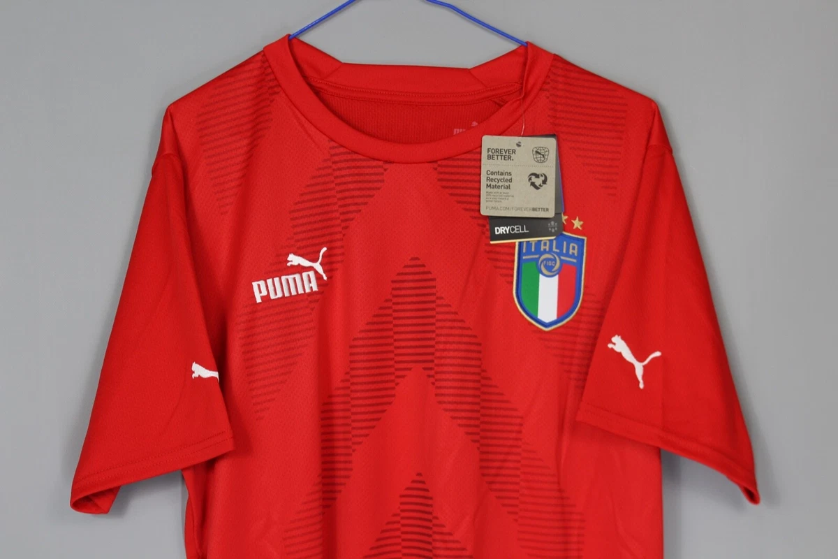 Italy FIGC PUMA Men Goalkeeper Jersey 765664-05