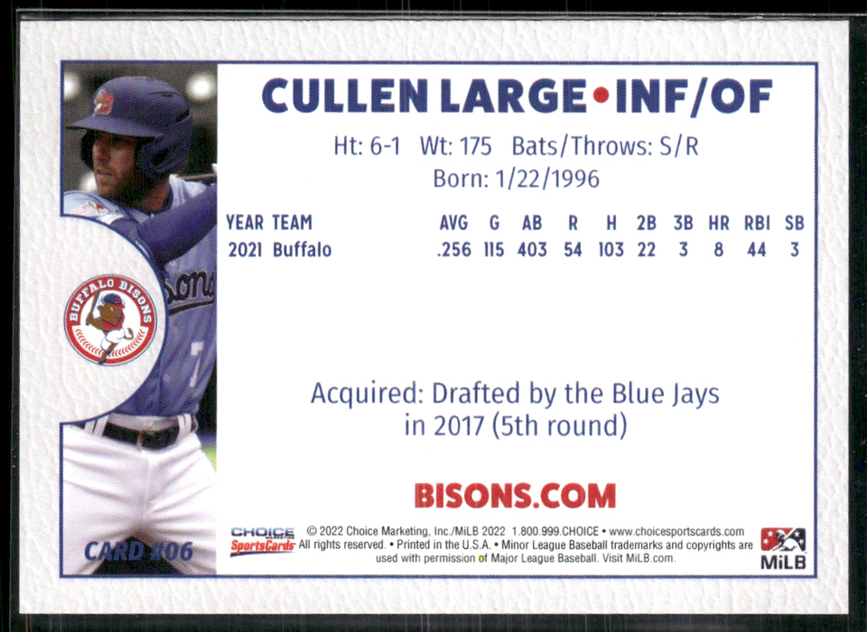 Cullen Large 2022 Buffalo Bisons Team Set | eBay