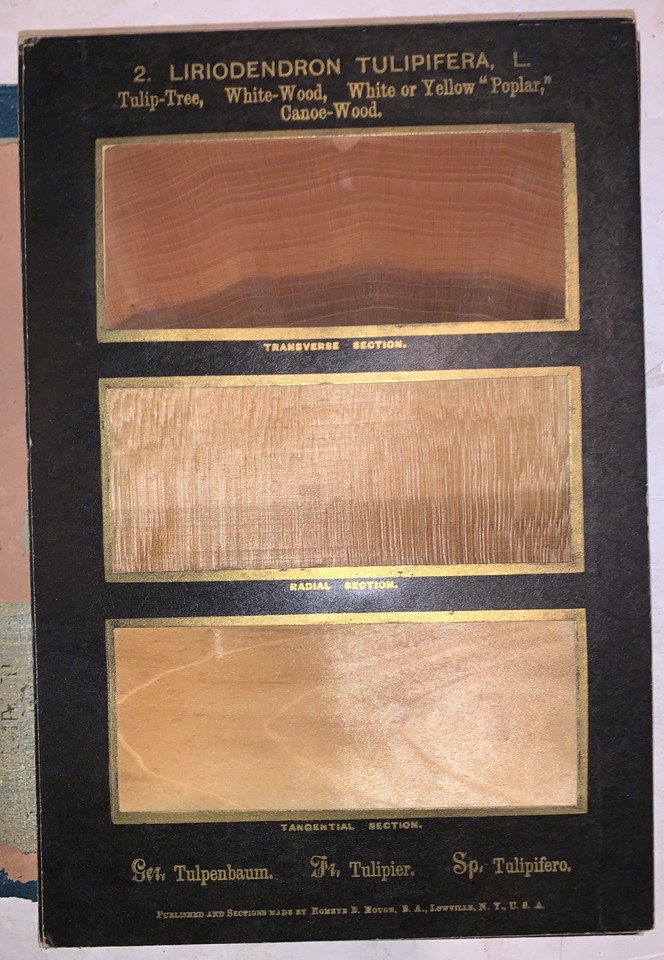 THE AMERICAN WOODS, ROMEYN B HOUGH INSCRIBED, 1888-1928, 1st, 14 VOL W ...