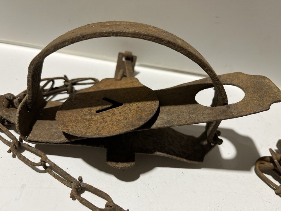 Lot Of (5) Five Victor Oneida Jump #2 Spring Traps | eBay