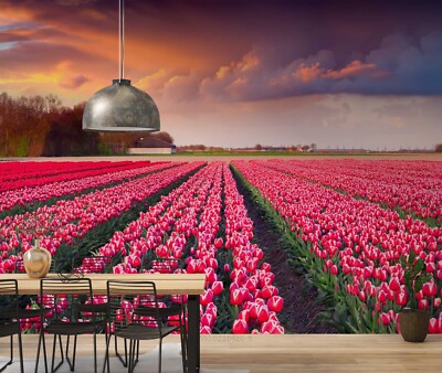 3D Sunset Pink Tulip Farm Wallpaper Wall Mural Peel and Stick Wallpaper ...
