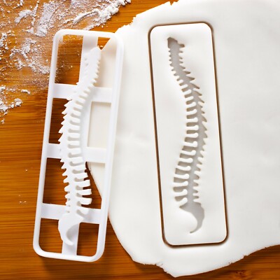 Human Spine cookie cutter | anatomical backbone xray anatomy skeleton ...