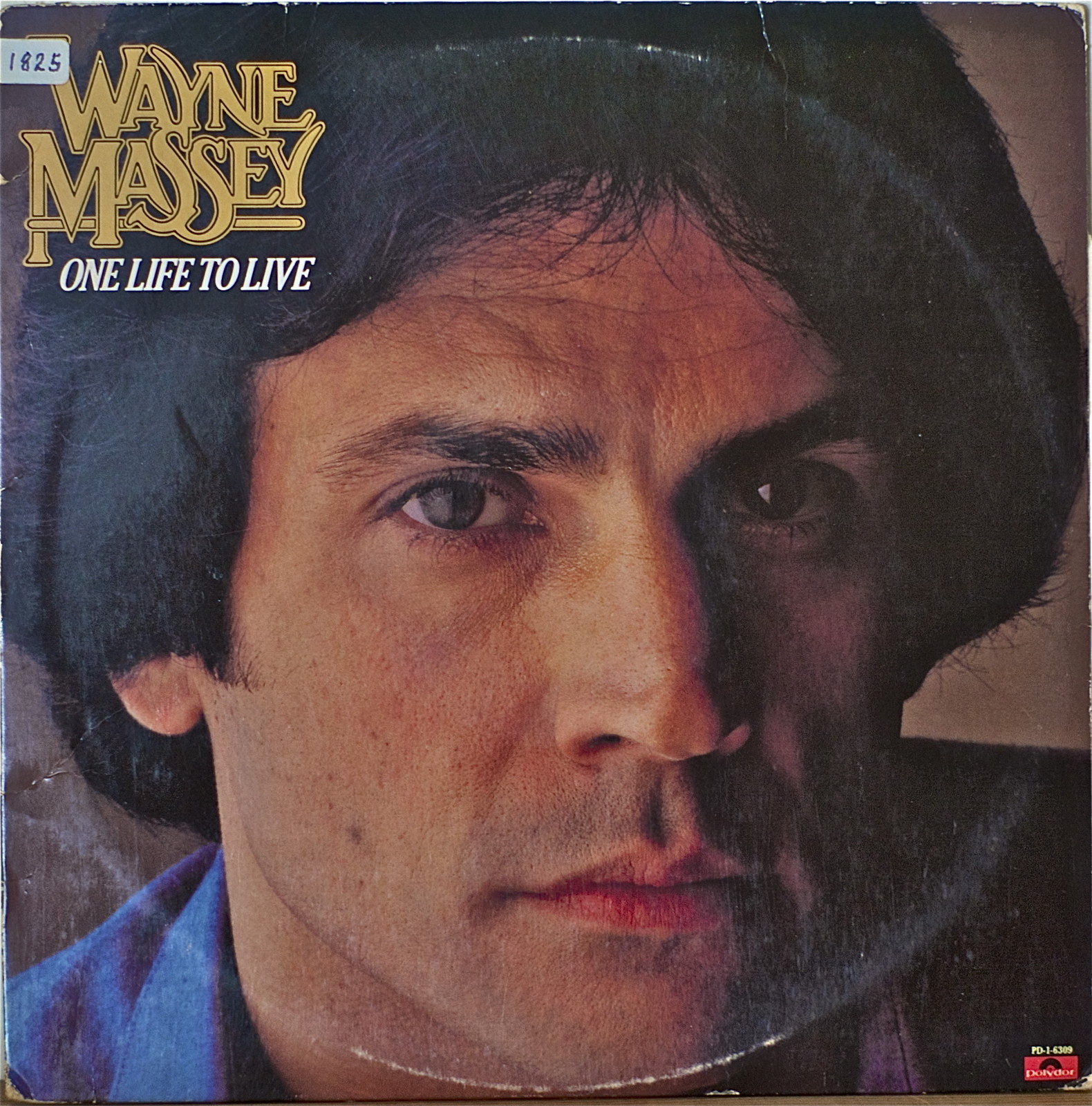 WAYNE MASSEY: One Life to Live-M1980LP EMBOSSED COVER PROMO | eBay