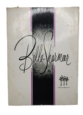 Vintage Hosiery Stockings Belle Sharmeer Haines 2 Pair Nylon Brown Navy ...