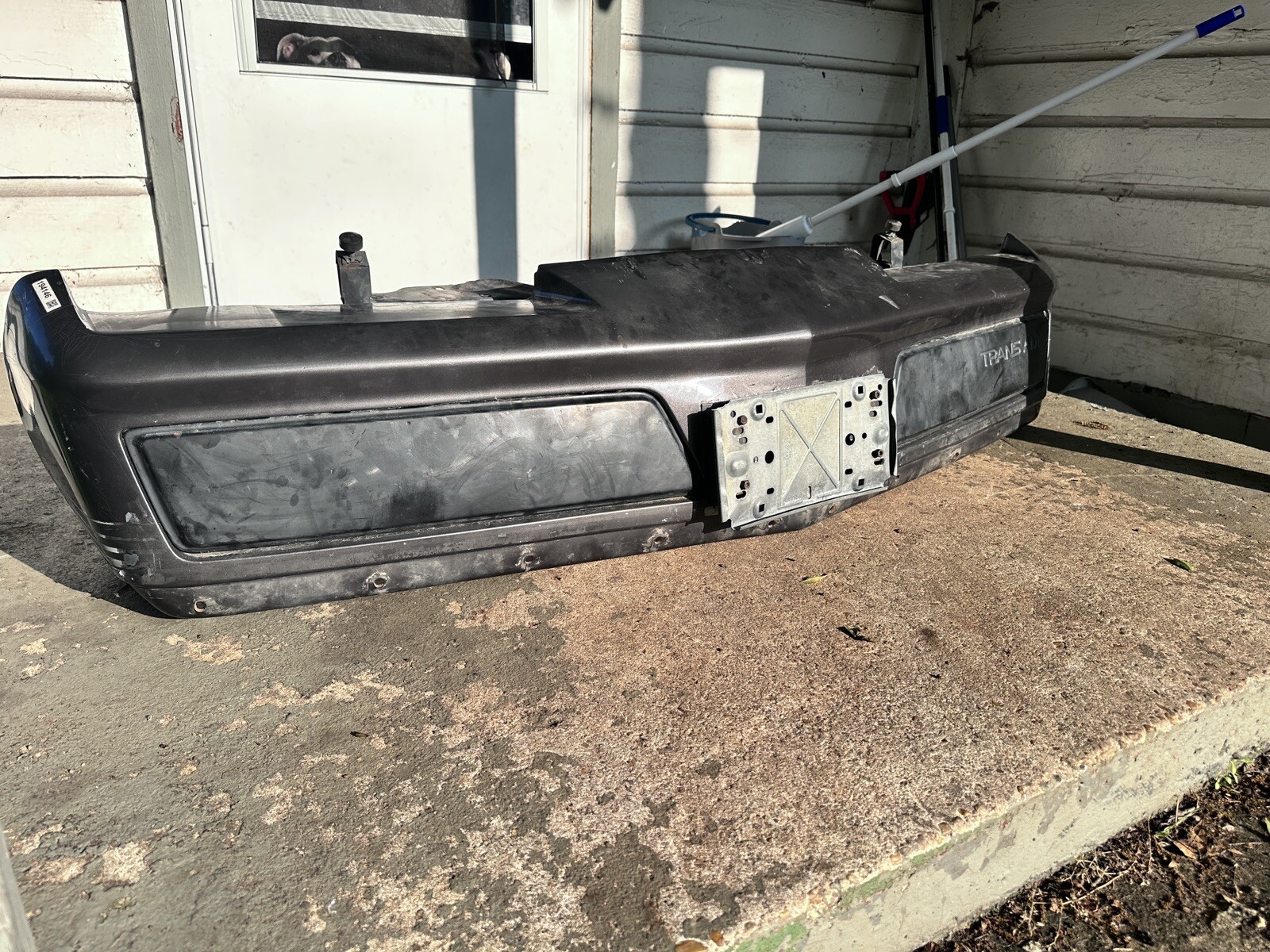 Pontiac Firebird Trans Am Front Bumper Cover Grey 3rd Gen 82-92 OEM Can ...