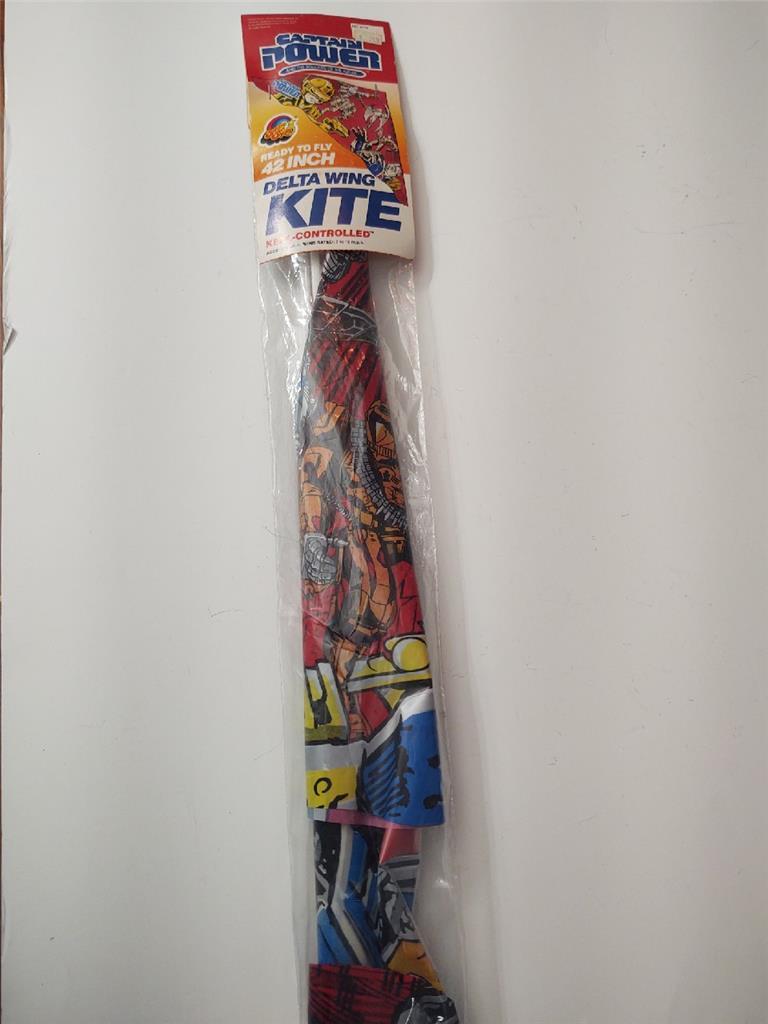 Vintage NOS 1989 Spectra Star Looney Tunes 42 Inch Delta Wing Kite for ...
