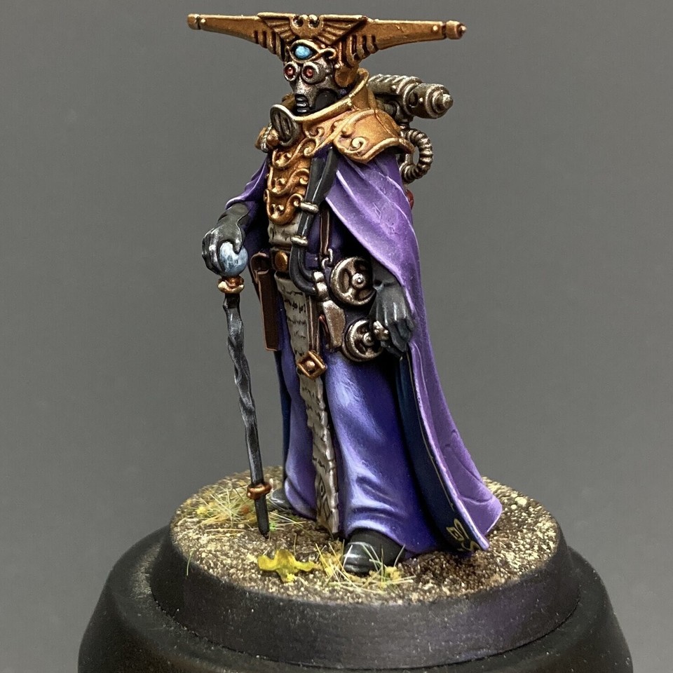 Imperial Agents Navigator Warhammer 40K Presale Painted Gallery ...