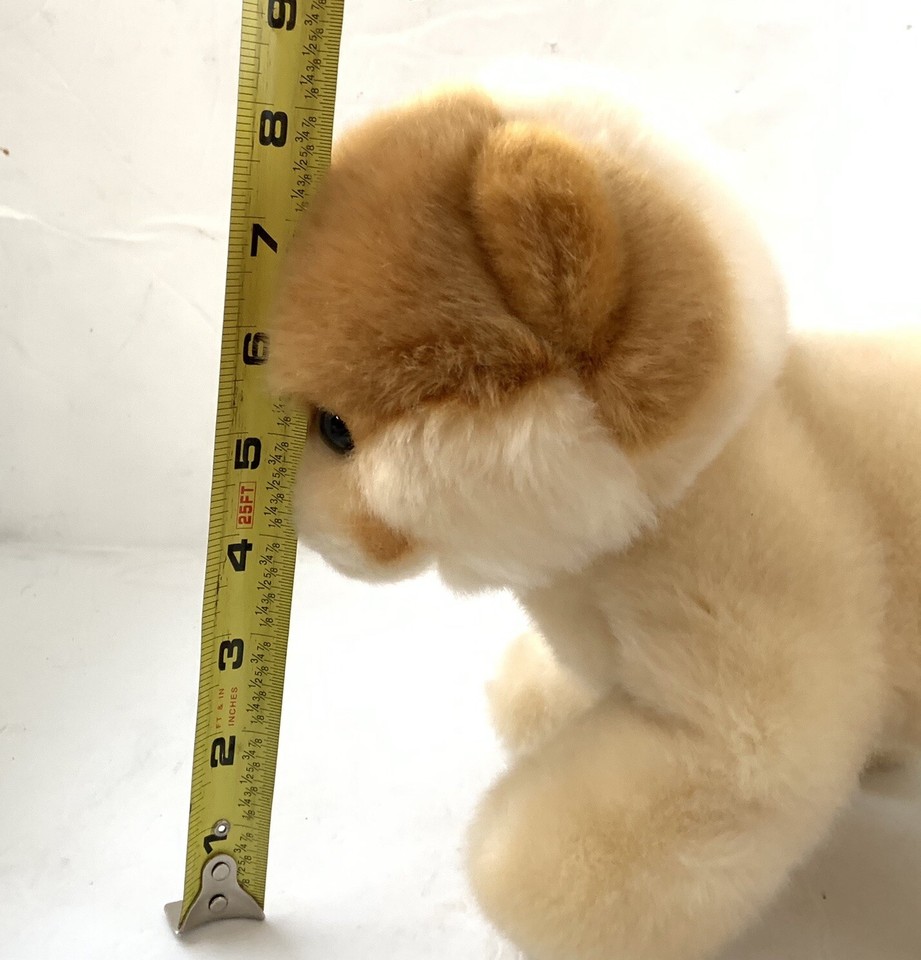 Gund Worlds Cutest Dog BOO 9” Plush Pomeranian Adorable! | eBay