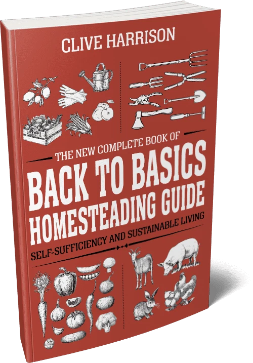 Back To Basics
