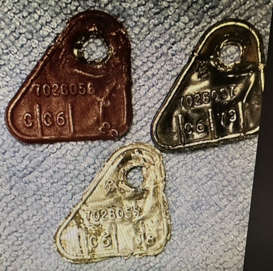 1966 OLDS 442 W-30 TRI POWER CARB TAG SET/DATED/COLORED 7026055 7026056 ...
