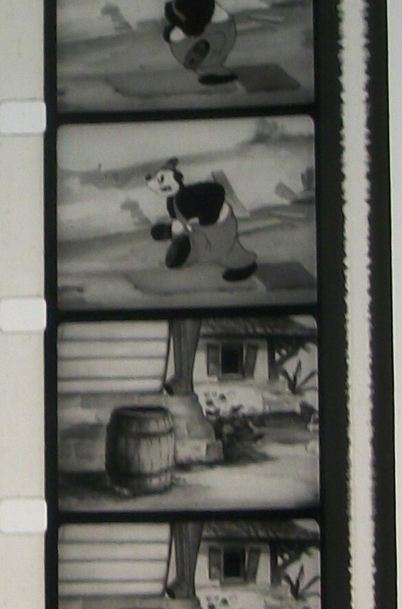 CAT SHOW CARTOON 16MM FILM MOVIE ROLLED NO REEL O43 | eBay Australia