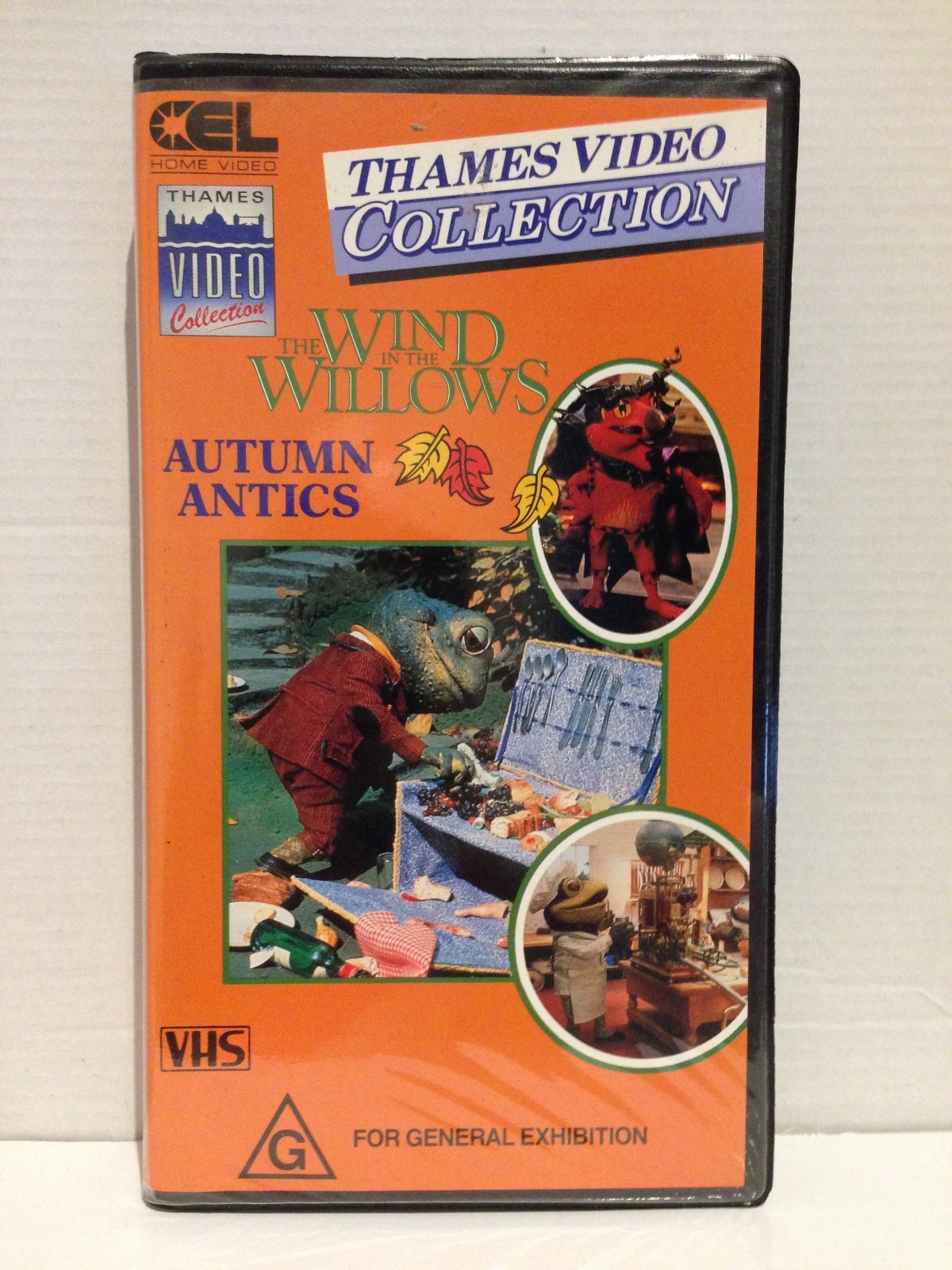 WIND IN THE WILLOWS Spring Follies RARE THAMES VHS VIDEO for sale ...