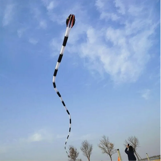 55M Long 3D Inflatable Soft Snake Kites Octopus Kites for Adults ...