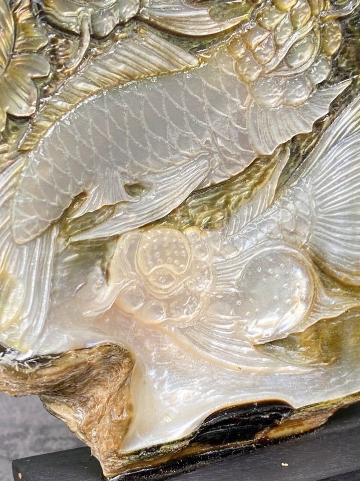 Beautiful Carved Seashell stunning Mother of pearl carved Shell incl ...