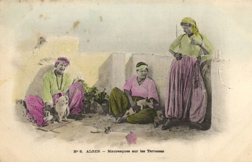 PC CPA ETHNIC, ALGER - MAURESQUES SUR LES TERRASSES, VINTAGE POSTCARD ...