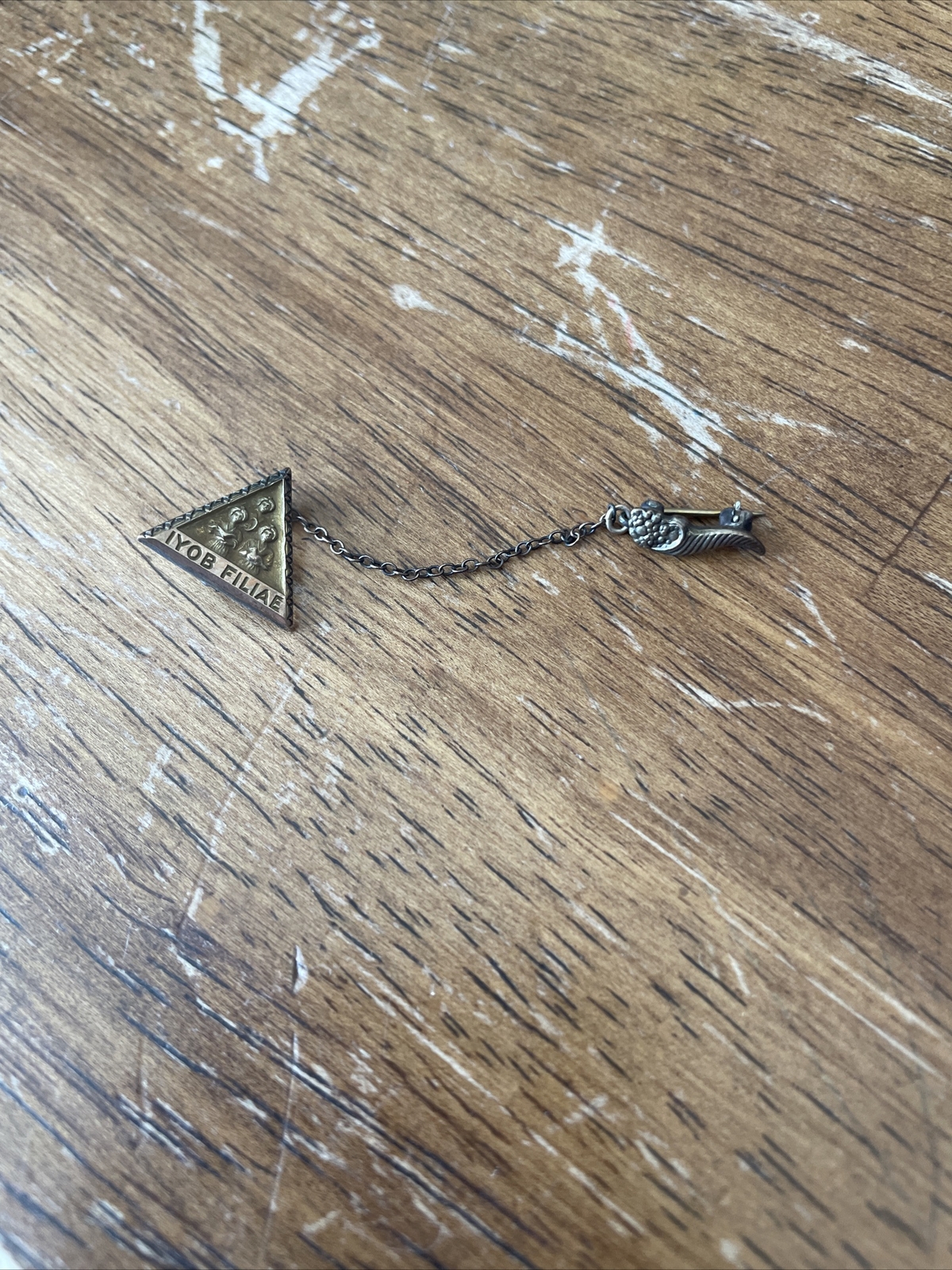 Membership Pin IYOB FILIAE Vintage 2-Piece w/ Chain | eBay