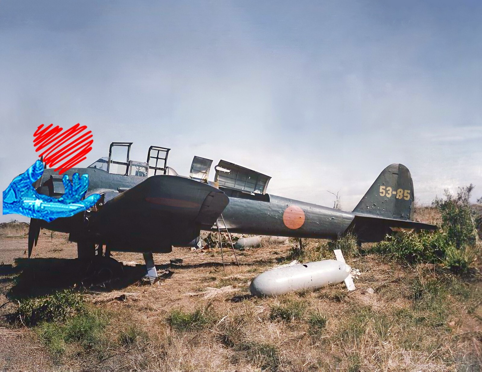 WW2 Colorized Japanese IJN Nakajima J1N1 Gekko (Irving) night fighter ...