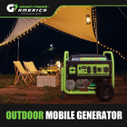 Green Power 13,000-W Portable Dual Fuel Gas Powered Generator w ...