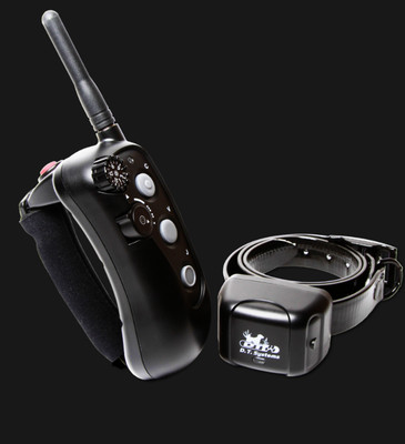 D.T. SYSTEMS, R.A.P.T RAPID ACCESS PRO TRAINER | eBay