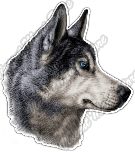 Memes De Perros Husky