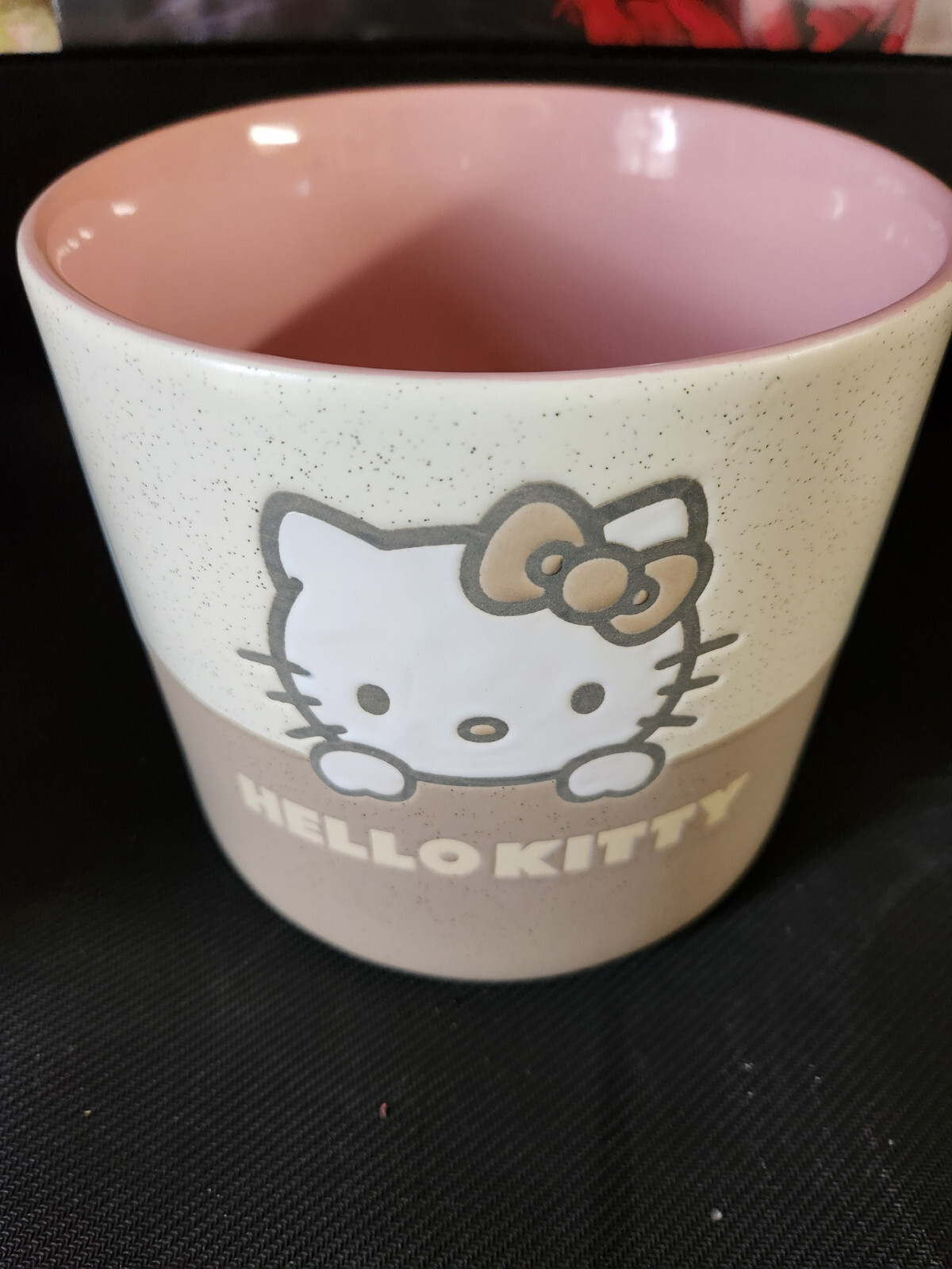 Hello Kitty and Friends Ceramic Planters - Cinnamoroll - My Melody ...