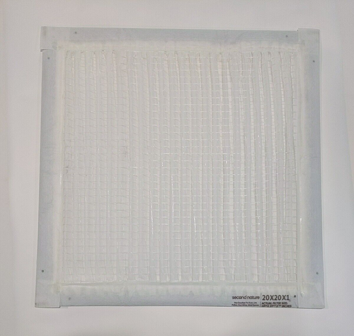 Second Nature 20 X 20 X 1 Air filter | eBay