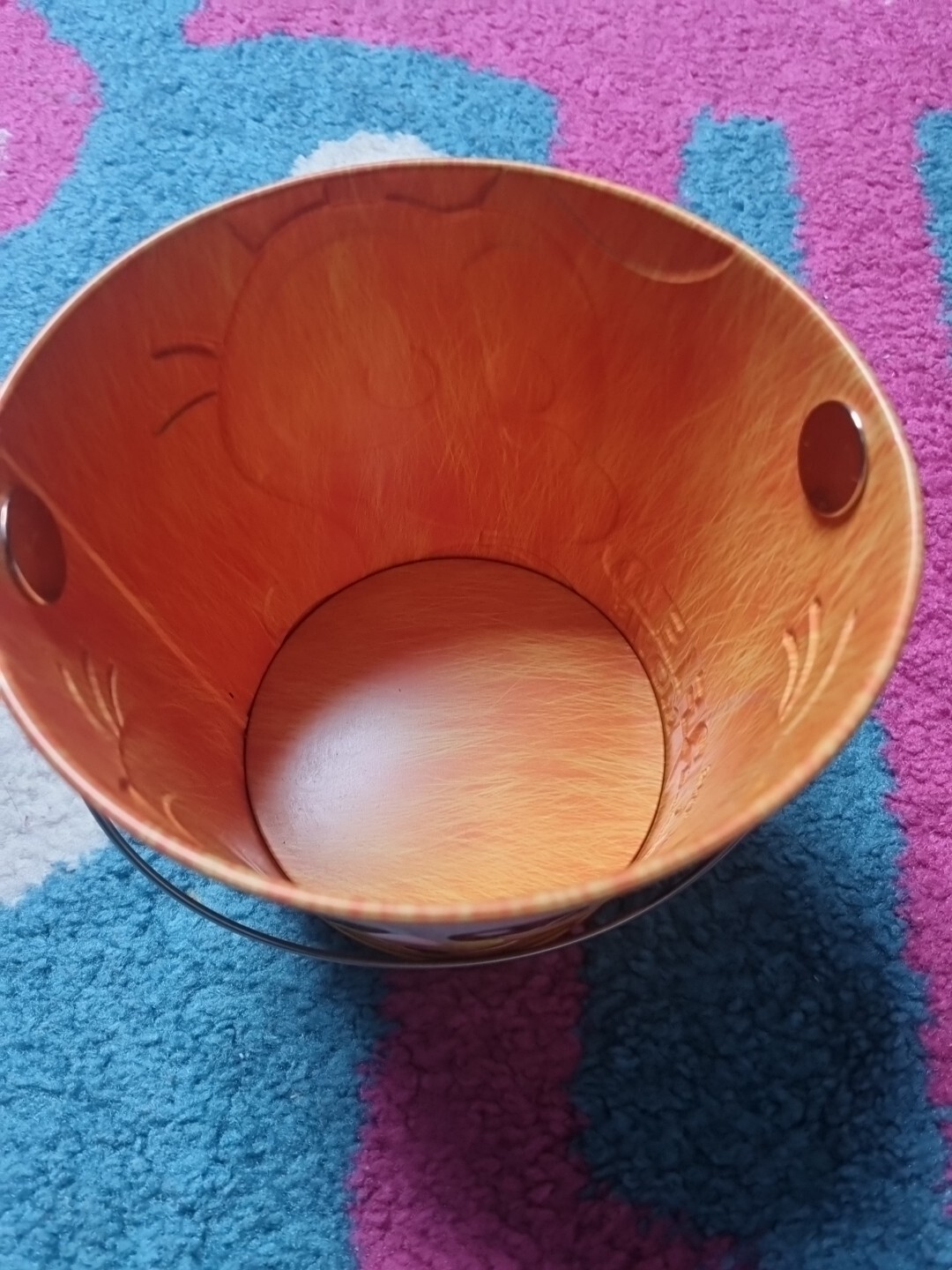 AMC 2024 Exclusive The Garfield Movie Tin | Grelly UK