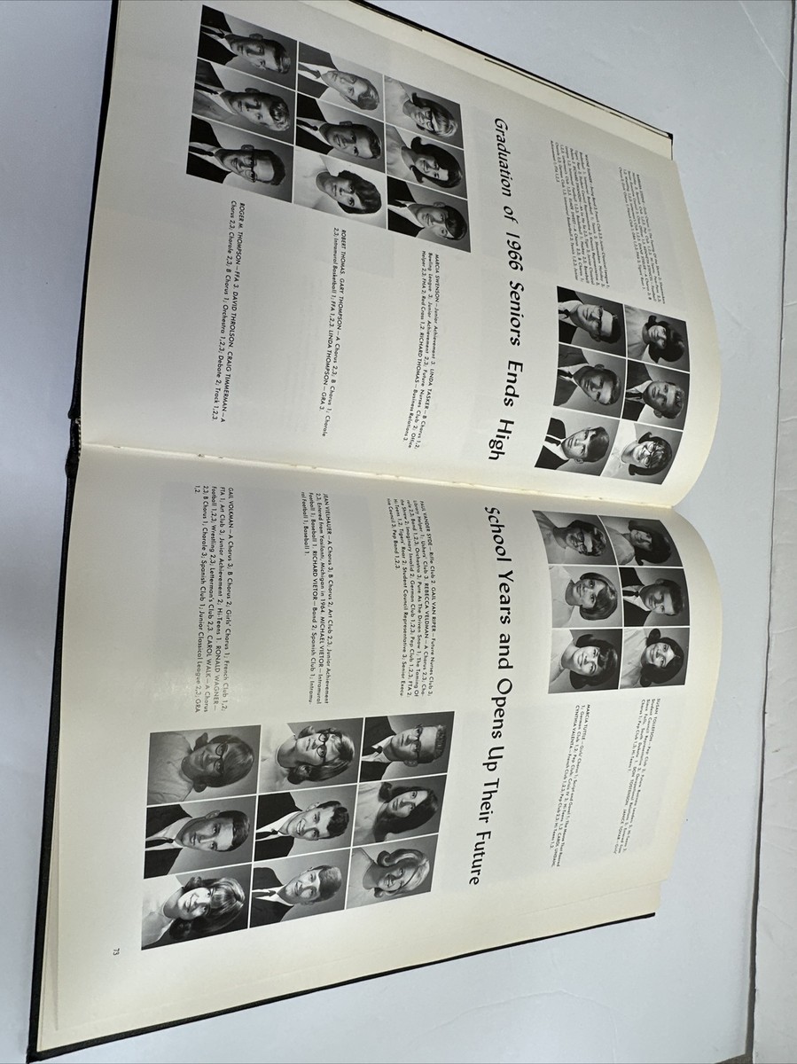 Albert Lea Tigers Football Logo