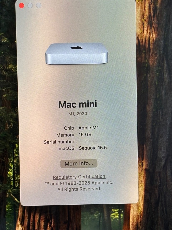 Mac mini (Silver) M1 - 16gb - 1TB - SSD - Used | eBay