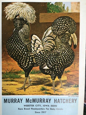 VTG 1972 RARE Chicks Color CATALOG/Guide~"MURRAY McMURRAY HATCHERY ...