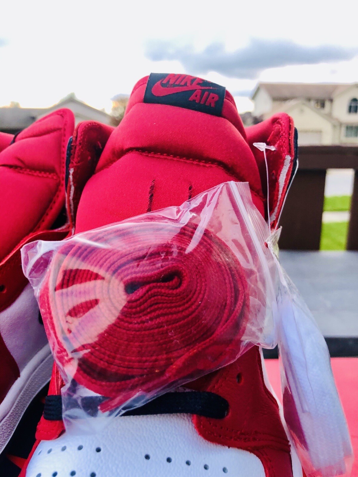 Nike Air Jordan 1 Satin Snake Chicago Men Size 7 / Women 8.5 Bred Dunk ...