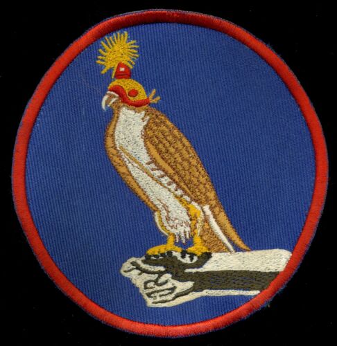 USN VF-142 Attack Squadron 142 Patch S-13 | eBay