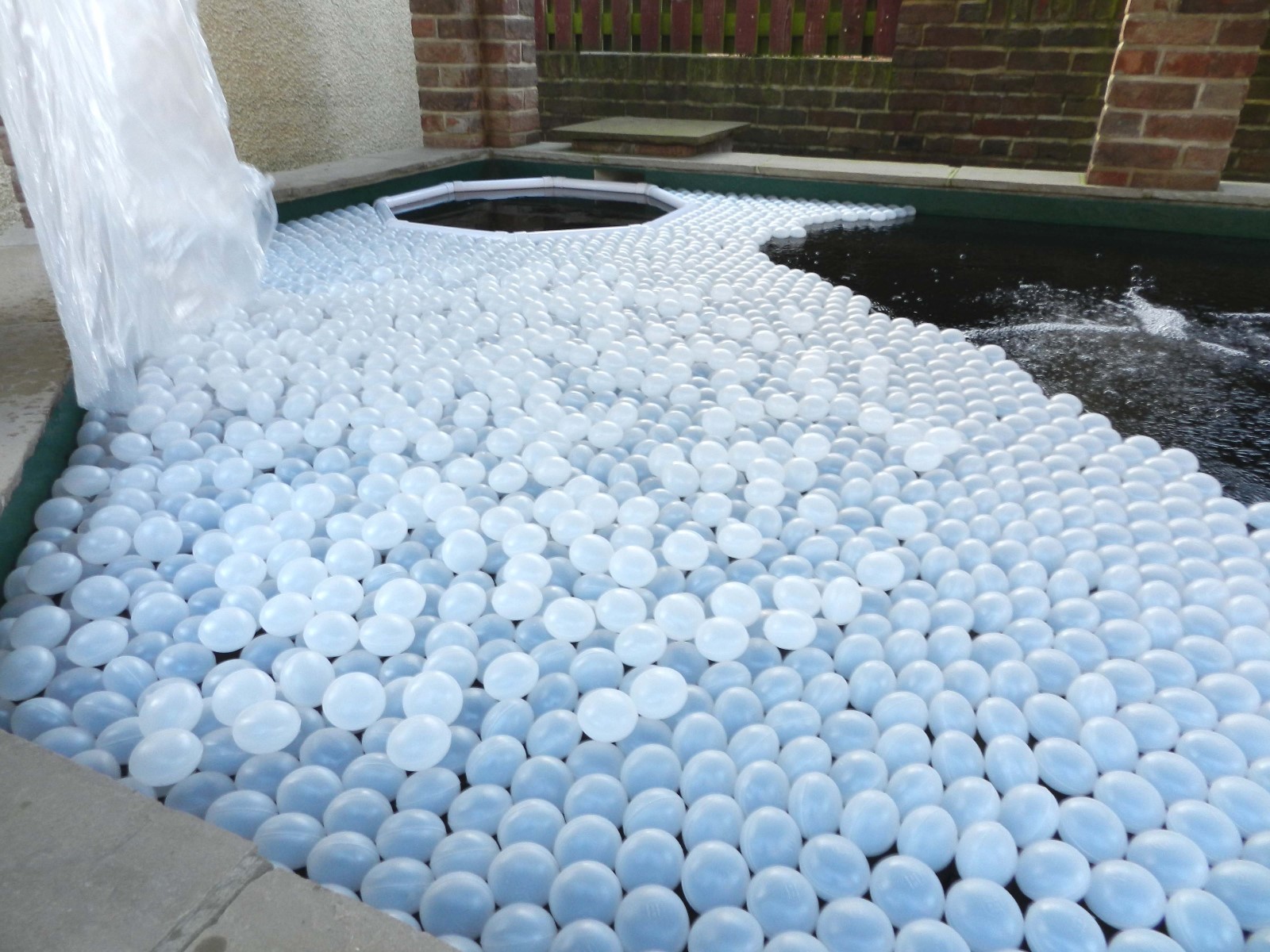 Euro-matic 50mm Koi Carp Pond and Swimming Pool Insulation Cover Balls ...
