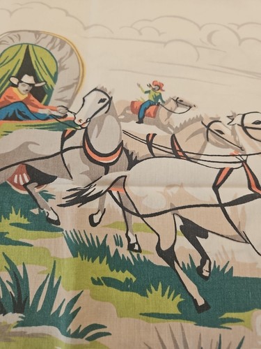 Vintage Joe Boxer Western Themed Pillow Cases - Standard Size | eBay