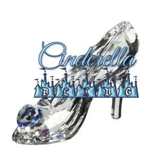 Cinderella Bling | eBay Stores