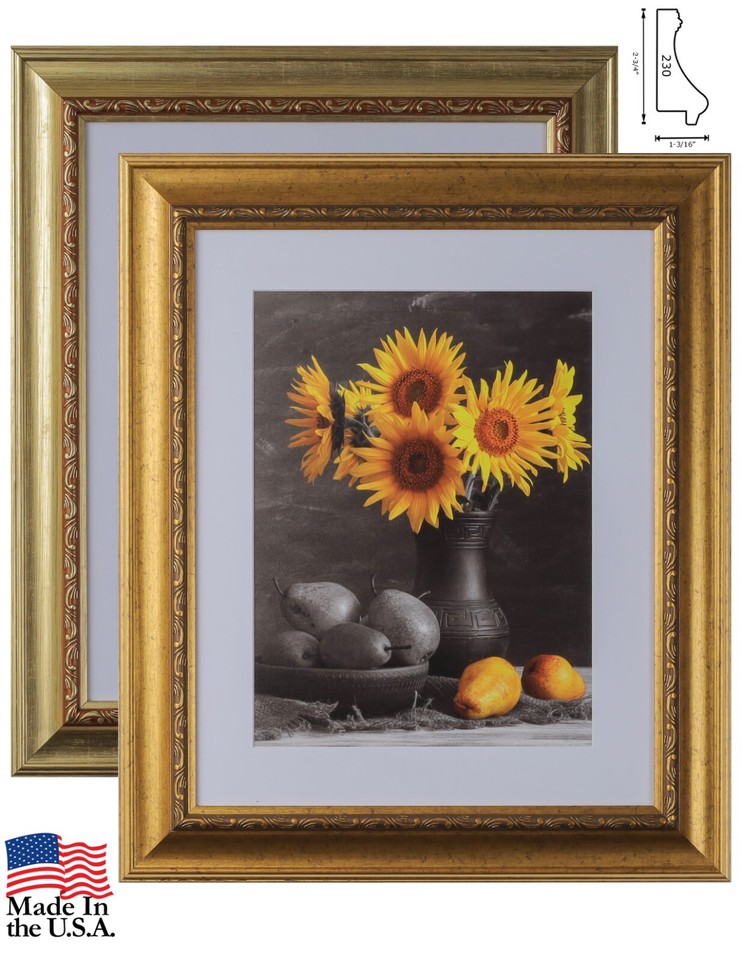 Custom Matted Picture Poster Frame & Mat 2-3/4" Gold Ornate 230 16x20 ...