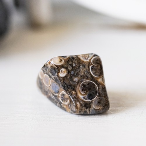 AGATE FOSSILE OU TURITELLE Pierre roulée - Lithothérapie Minéraux ...