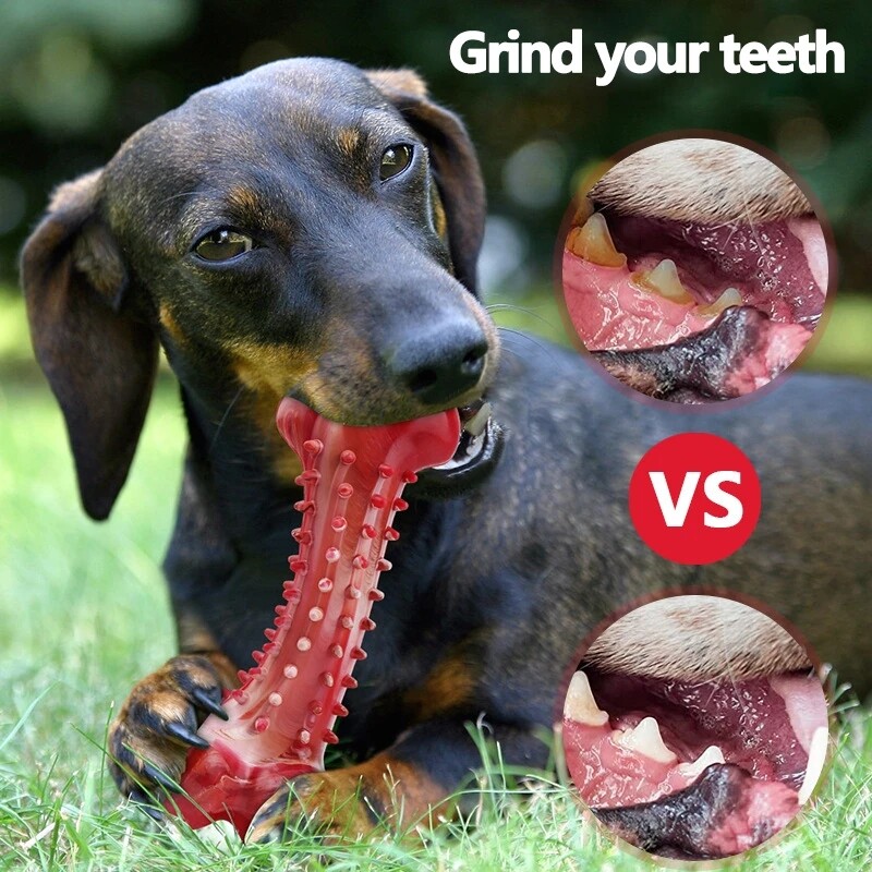 Dog Chew Toys for Aggressive Chewers Large Breed Rubber Dog Bones Teeth ...