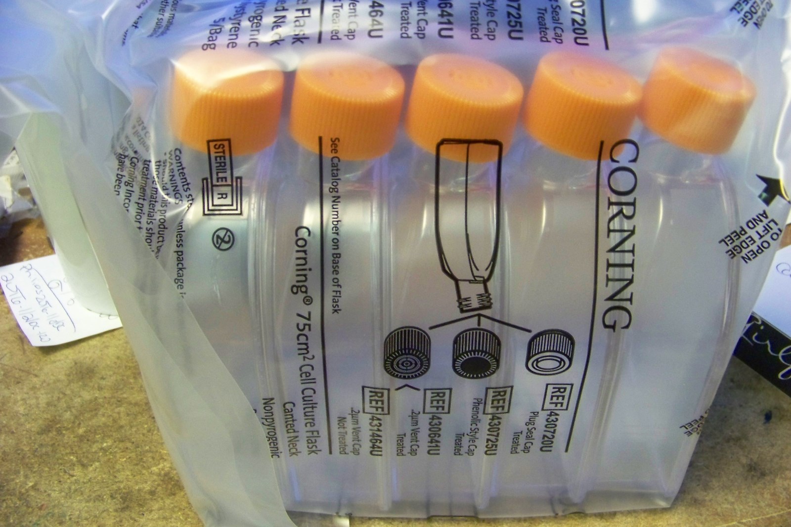 Corning 430641U 75 cm² U-shape cell culture flask, canted neck ~ 5 ct ...