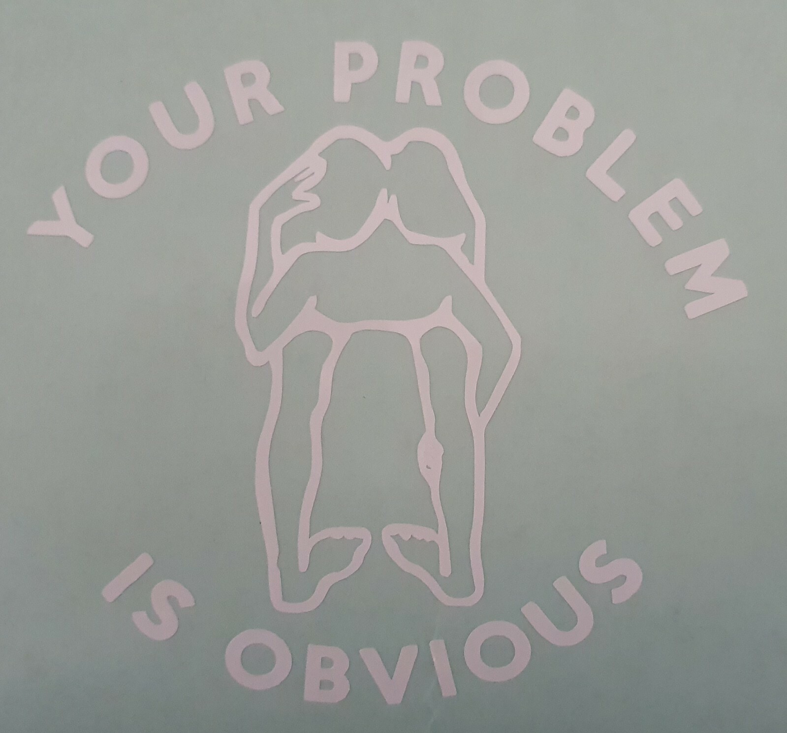 Your Problem Is Obvious 100mm x 107mm | eBay Australia