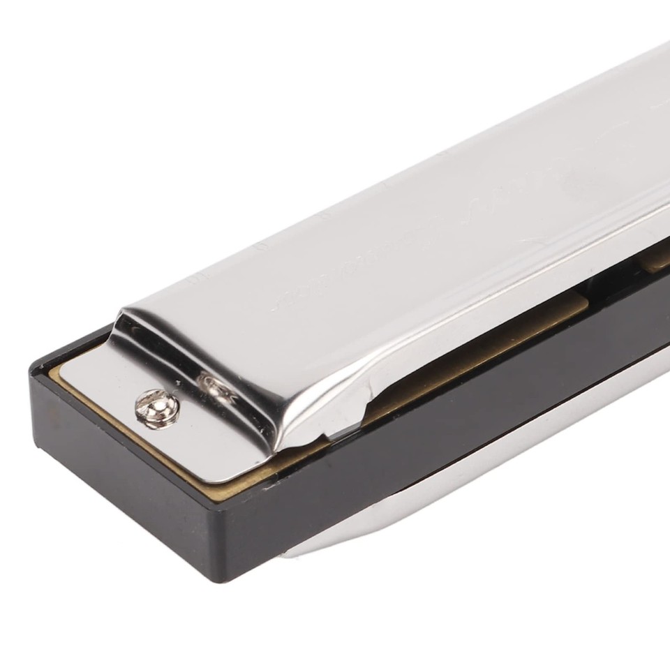 Dilwe G Key Harmonica, blues harp, 10 Hole 20 Tone Mouth Organ, Silver ...