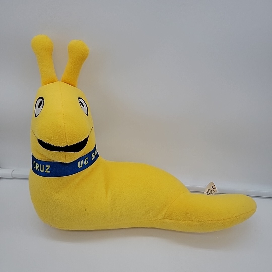 Banana Slugs Uc Santa Barbara