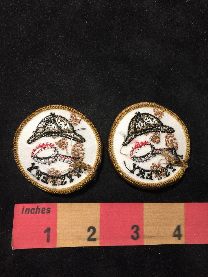 Librarian MYSTERY Patch Literary / Book Genre - 2 Patches In Lot 00AB ...