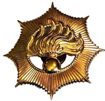Vintage Netherlands Police Insignia Badge Gold Tone Lapel Brooch | eBay