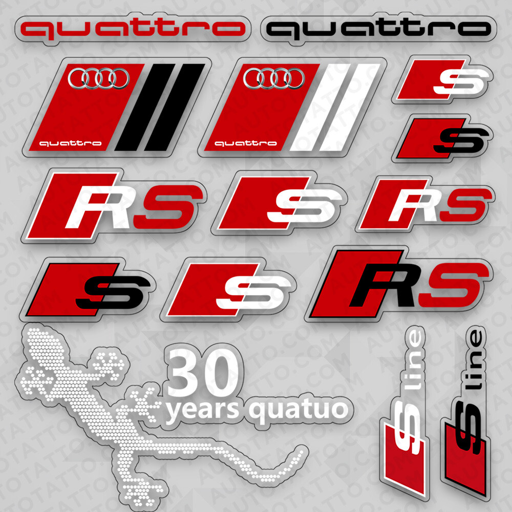 Audi Motorsport Logo