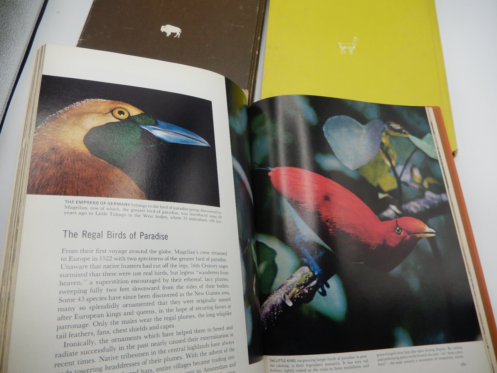 Set of 6 Life Nature Library Books 1970s Australia Eurasia Africa ...