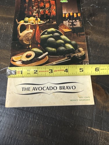 The Avocado Bravo "Recipes and Ideas" Booklet | eBay