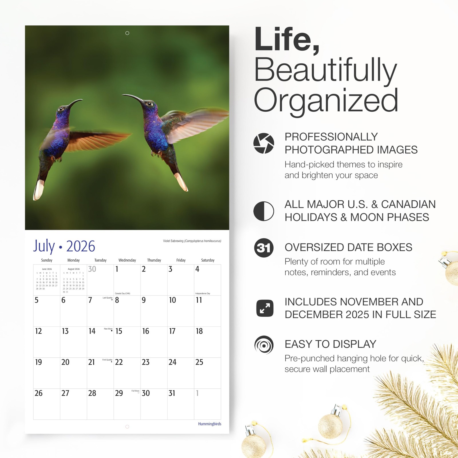 Hummingbirds 2026 Wall Calendar 12 Month | 12" x 24" Open | Thick ...