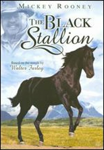 Black Stallion by Nicholas Kendall: New 84296407279| eBay
